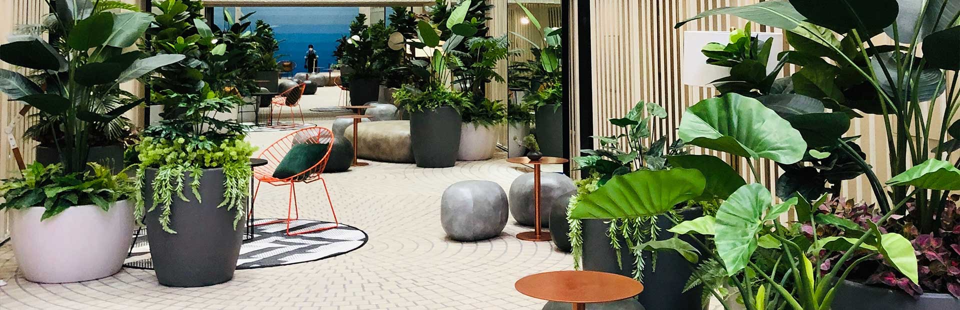 How do you monitor soil to improve and protect plant health?