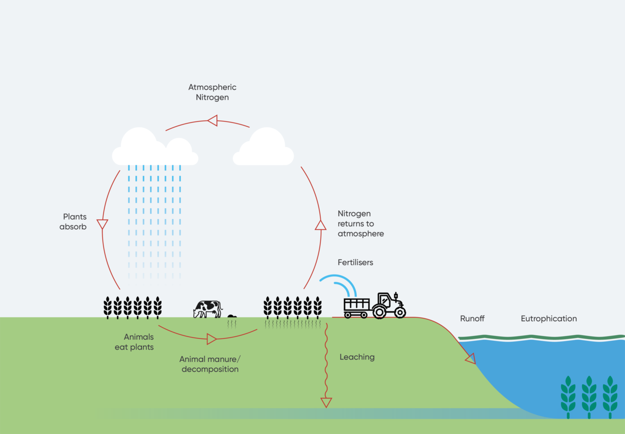 How do Nitrates effect our groundwater and freshwater waterways?