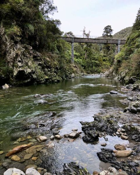 Measure & Mitigate Turbidity | Kaitoke Gorge Bridge Refurbishment