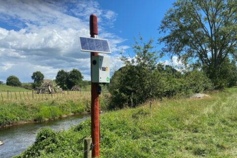 Environmental Water Monitoring in the Pūniu River